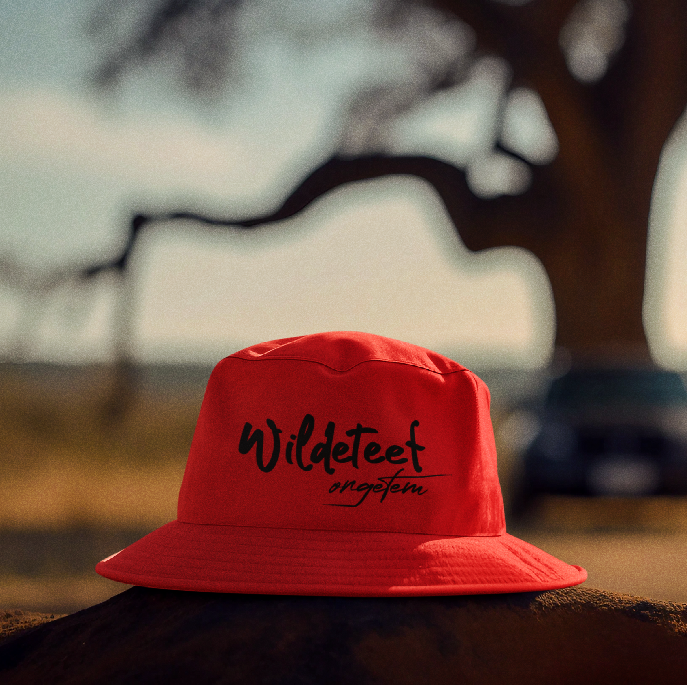 Keppie Koppie – Wildeteef
